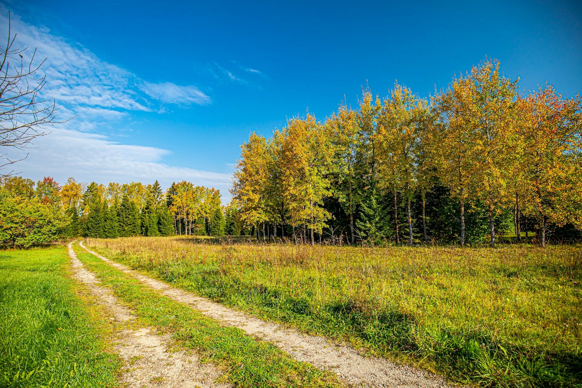 (NEED GPX) The Baltic Forest Trail | Trekslist | trekslist
